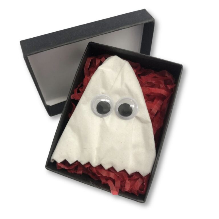 Pet Ghost - Funny Gift - Party People