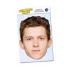 Tom Holland - Face Mask
