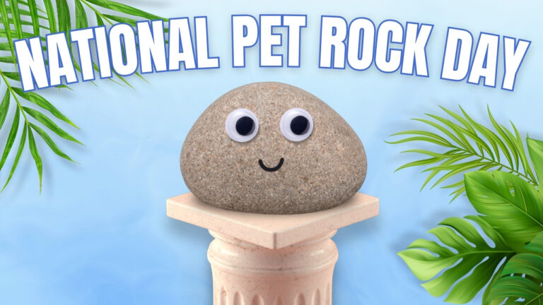 National Pet Rock Day