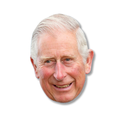 Single Royal Family Masks | Perfect face masks for parties